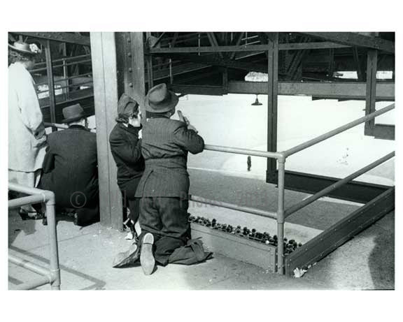 Baseball fans in the stands — Old NYC Photos