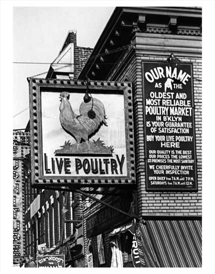 Live Poultry Market 1 — Old NYC Photos