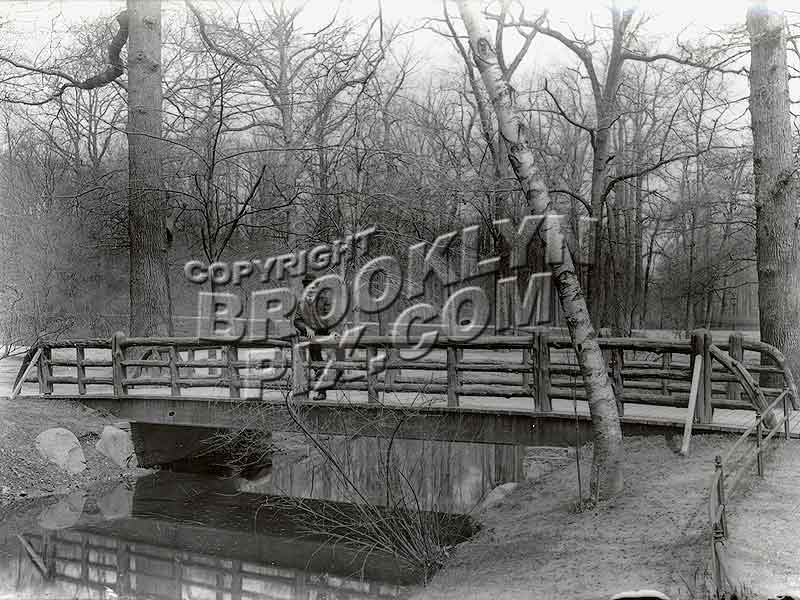 Rustic foot bridge, 1907 — Old NYC Photos